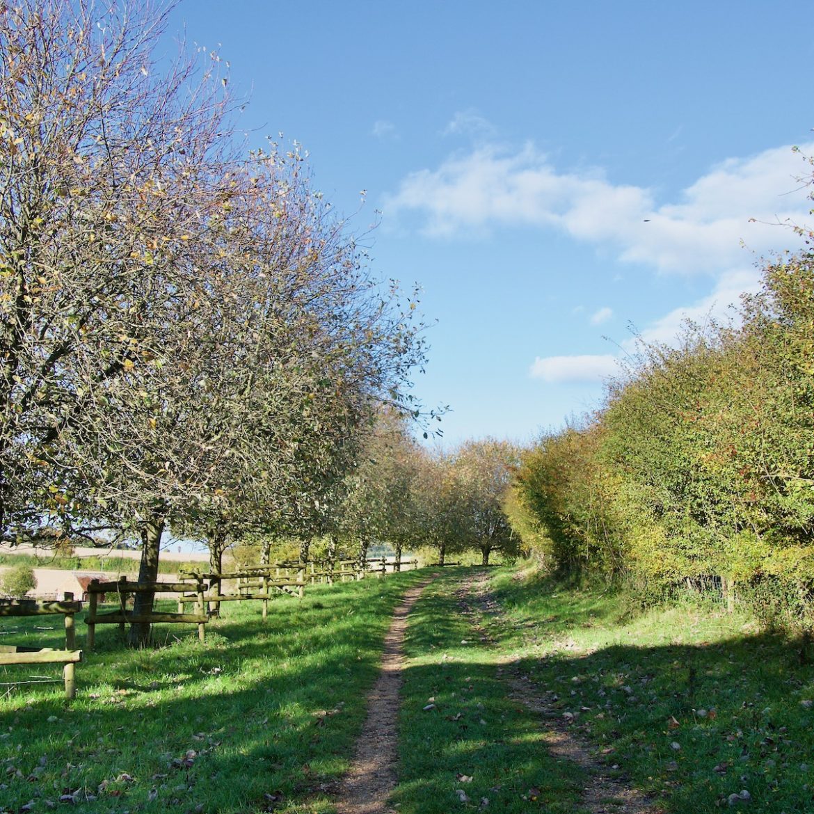 Dorset Village of Cranborne in England’s Green and Pleasant Land ...