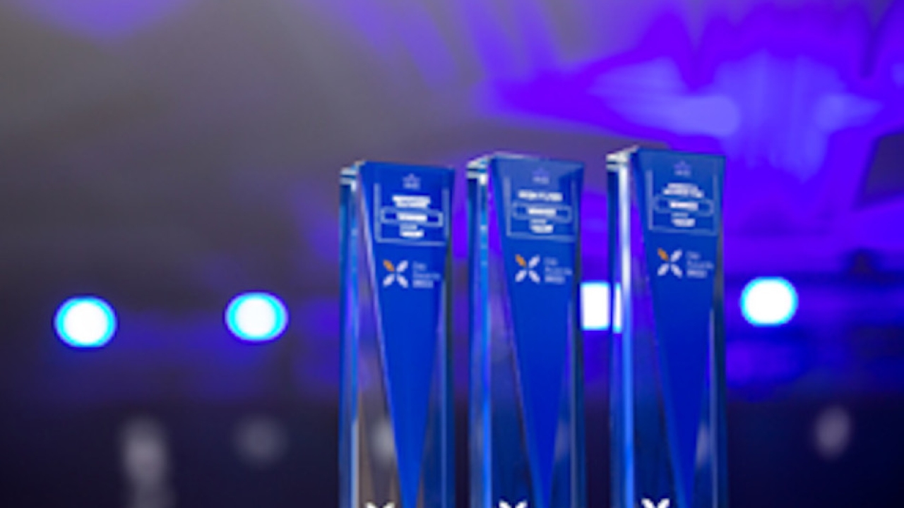 2025 IATA Diversity and Inclusion Award Winners Revealed - Travel Radar ...